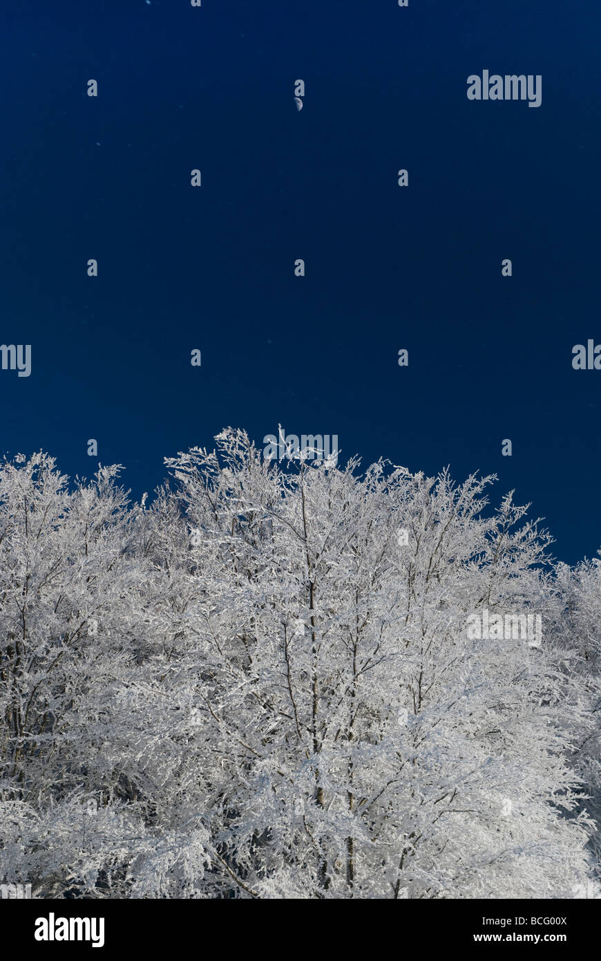 Neve glacier hi-res stock photography and images - Alamy