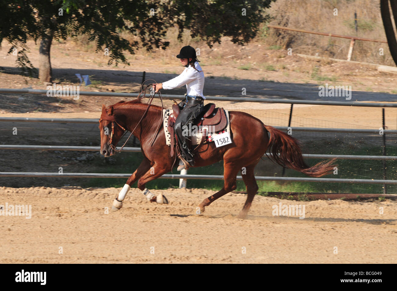 Israel Ifat Israeli Equestrian Organization Trail class competition Age ...