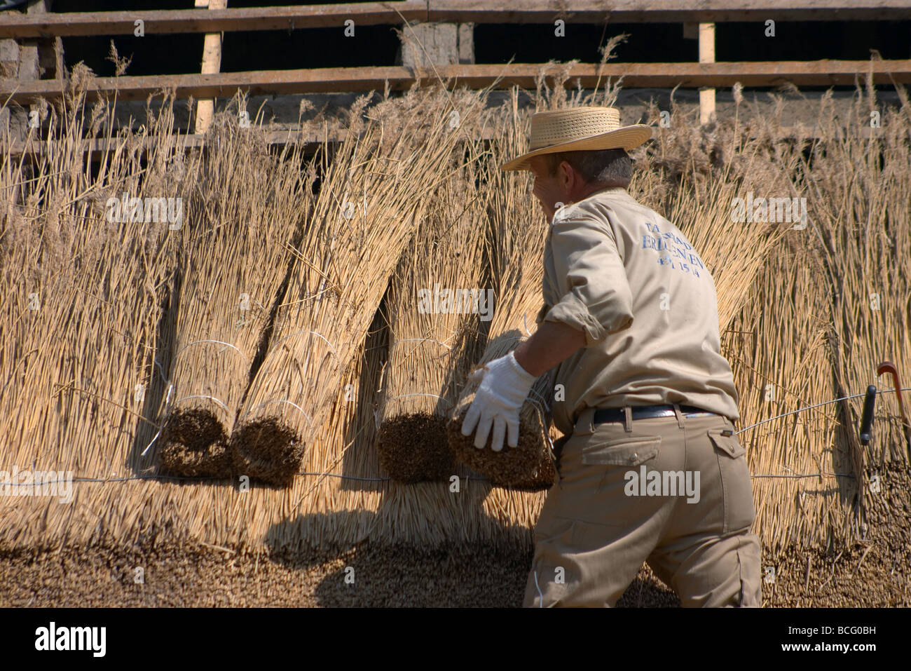 Thached roof house hi-res stock photography and images - Alamy