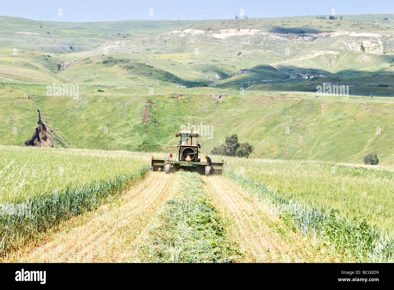 Israel jordan peace treaty hi-res stock photography and images - Alamy