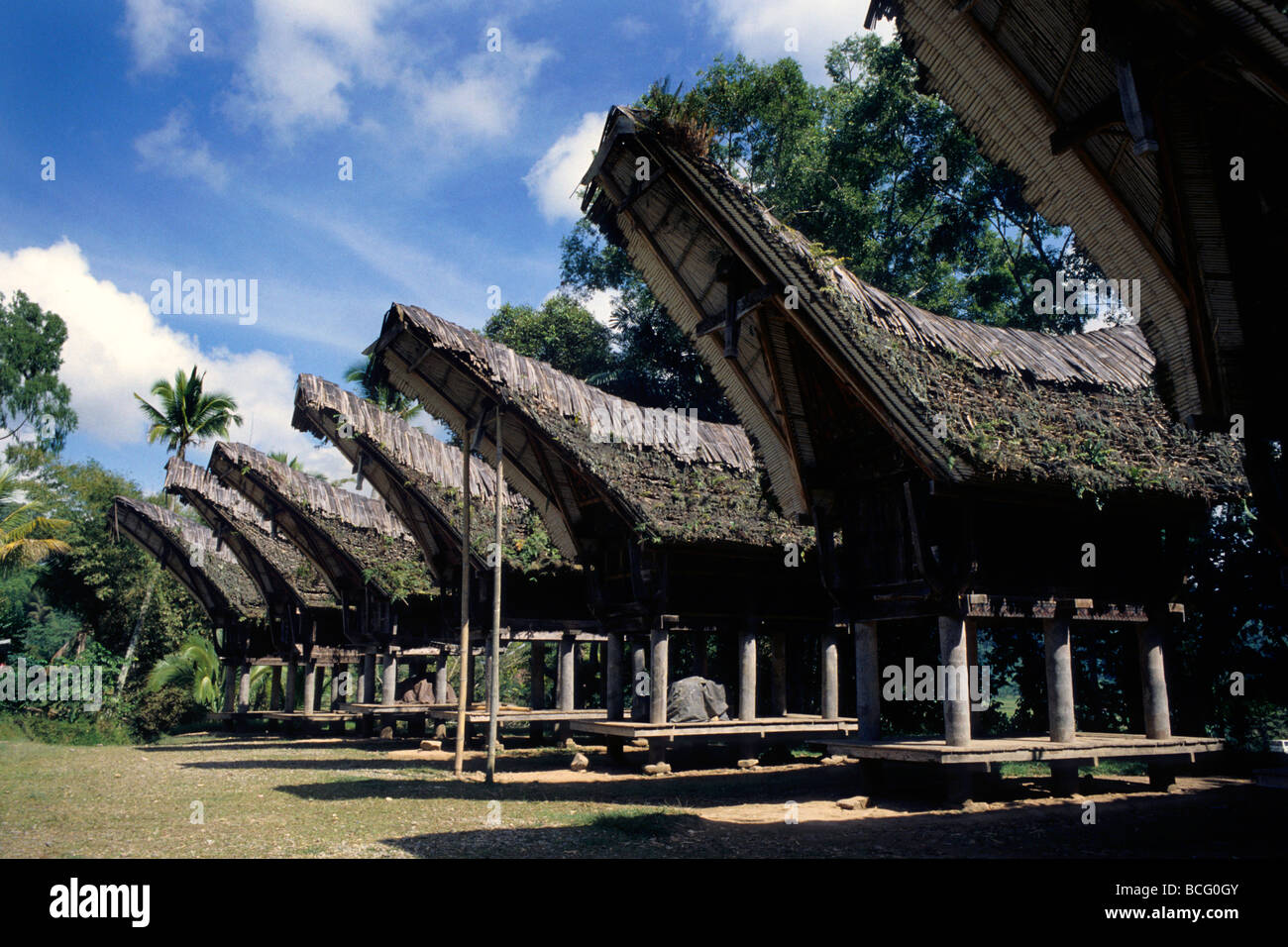 toraja people sulawesi indonesia Stock Photo - Alamy