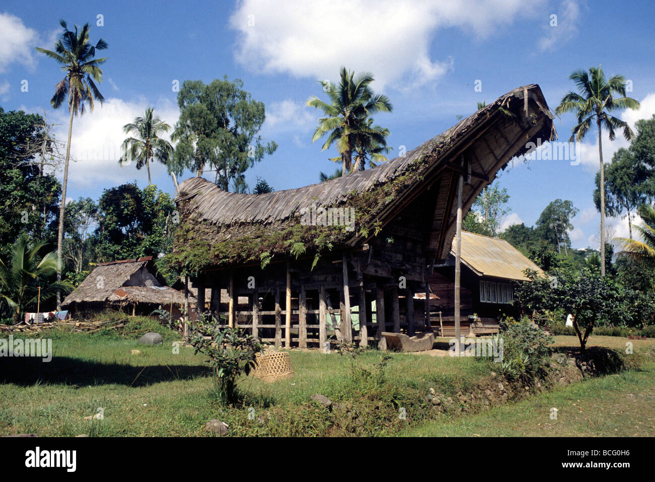 toraja people sulawesi indonesia Stock Photo - Alamy
