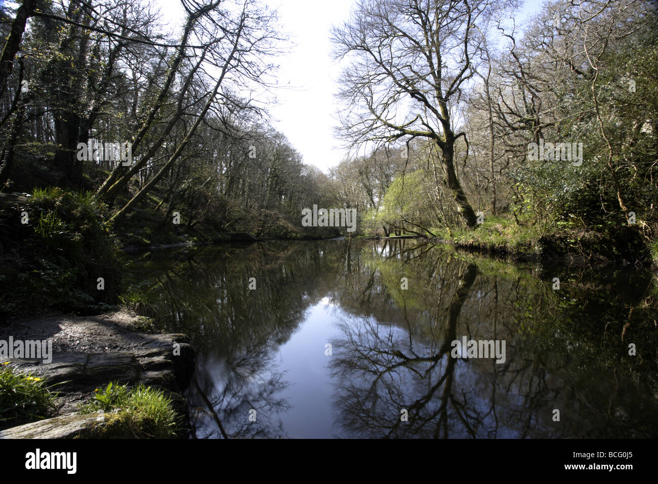 Dunmere hi-res stock photography and images - Alamy