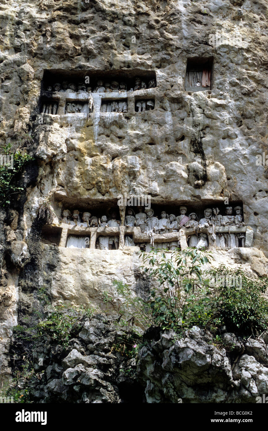 toraja people sulawesi indonesia Stock Photo - Alamy
