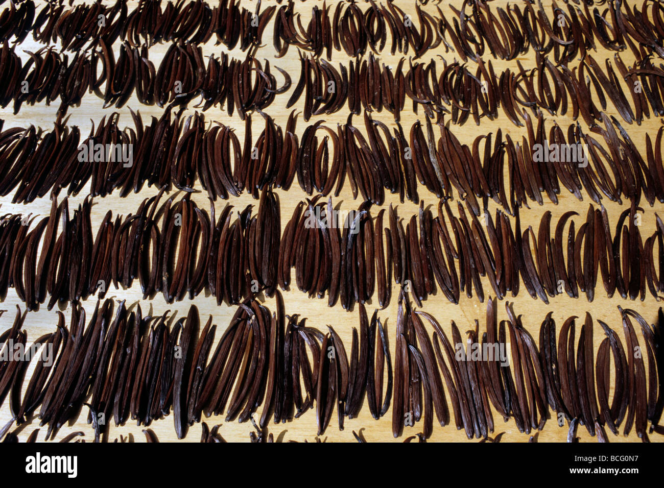 toraja people sulawesi indonesia Stock Photo - Alamy