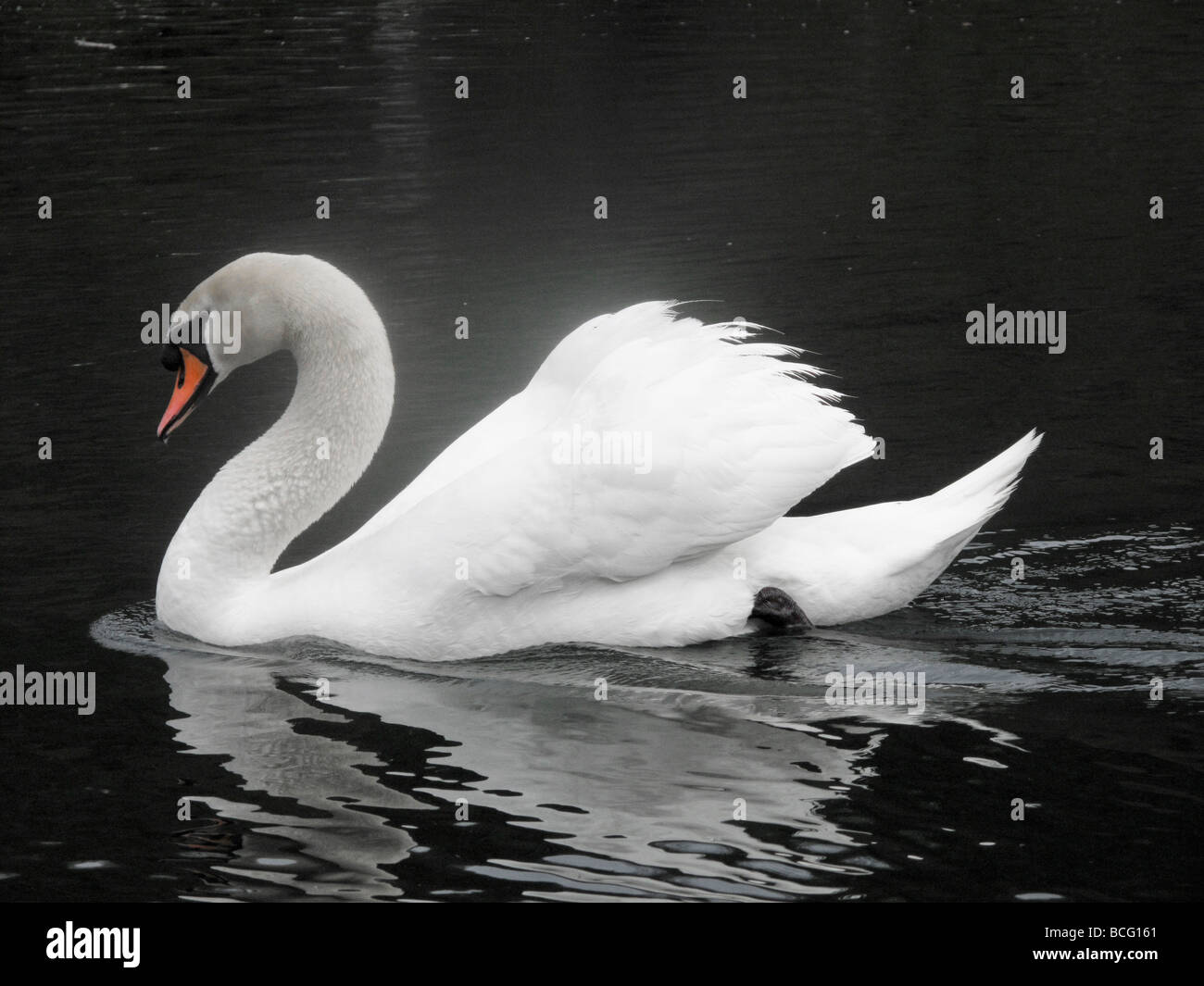 Adda river hi-res stock photography and images - Alamy