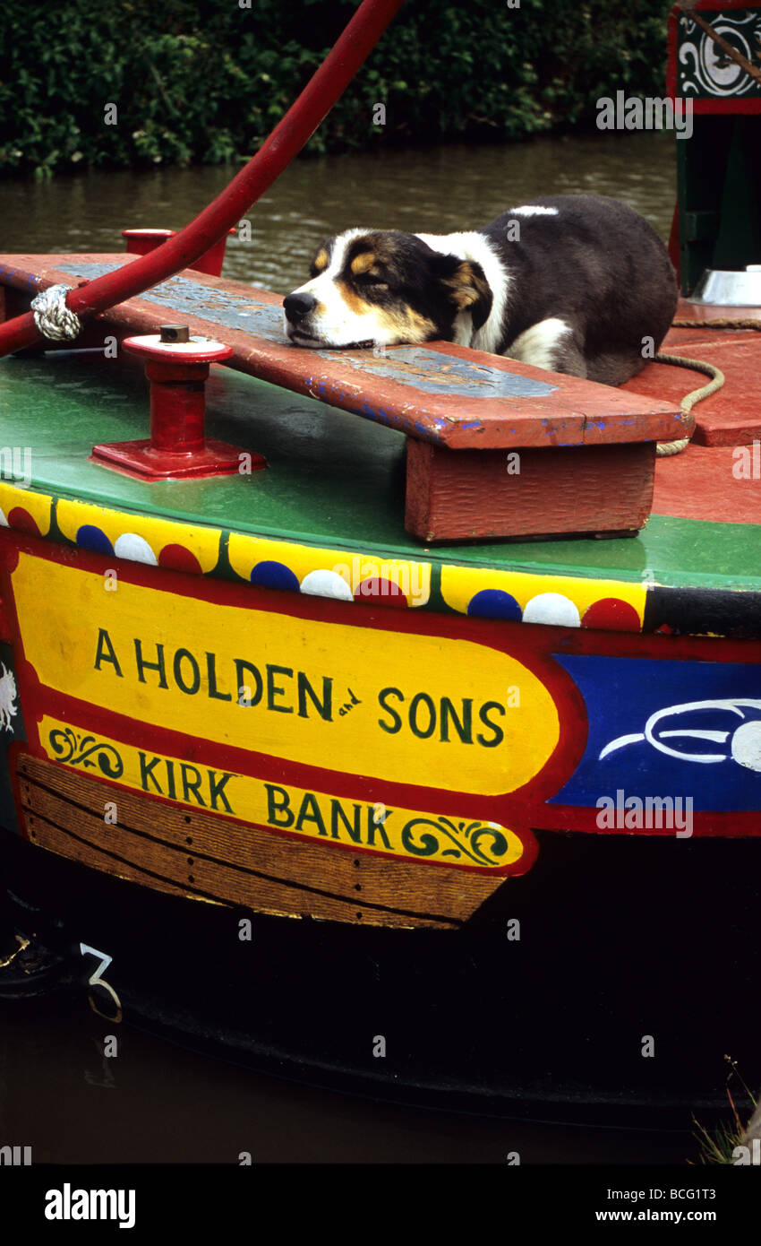 Dog on barge hi-res stock photography and images - Alamy