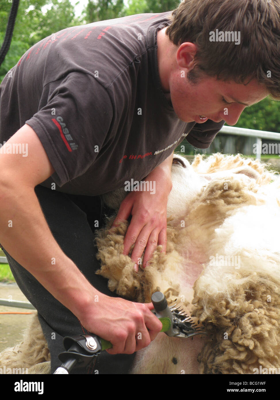 Skilled shearer hi-res stock photography and images - Alamy