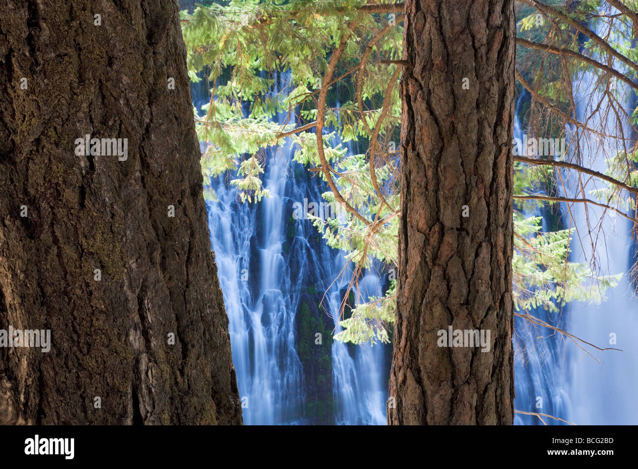 Burney Falls McArthur Burney Falls Memorial State Park California Stock ...