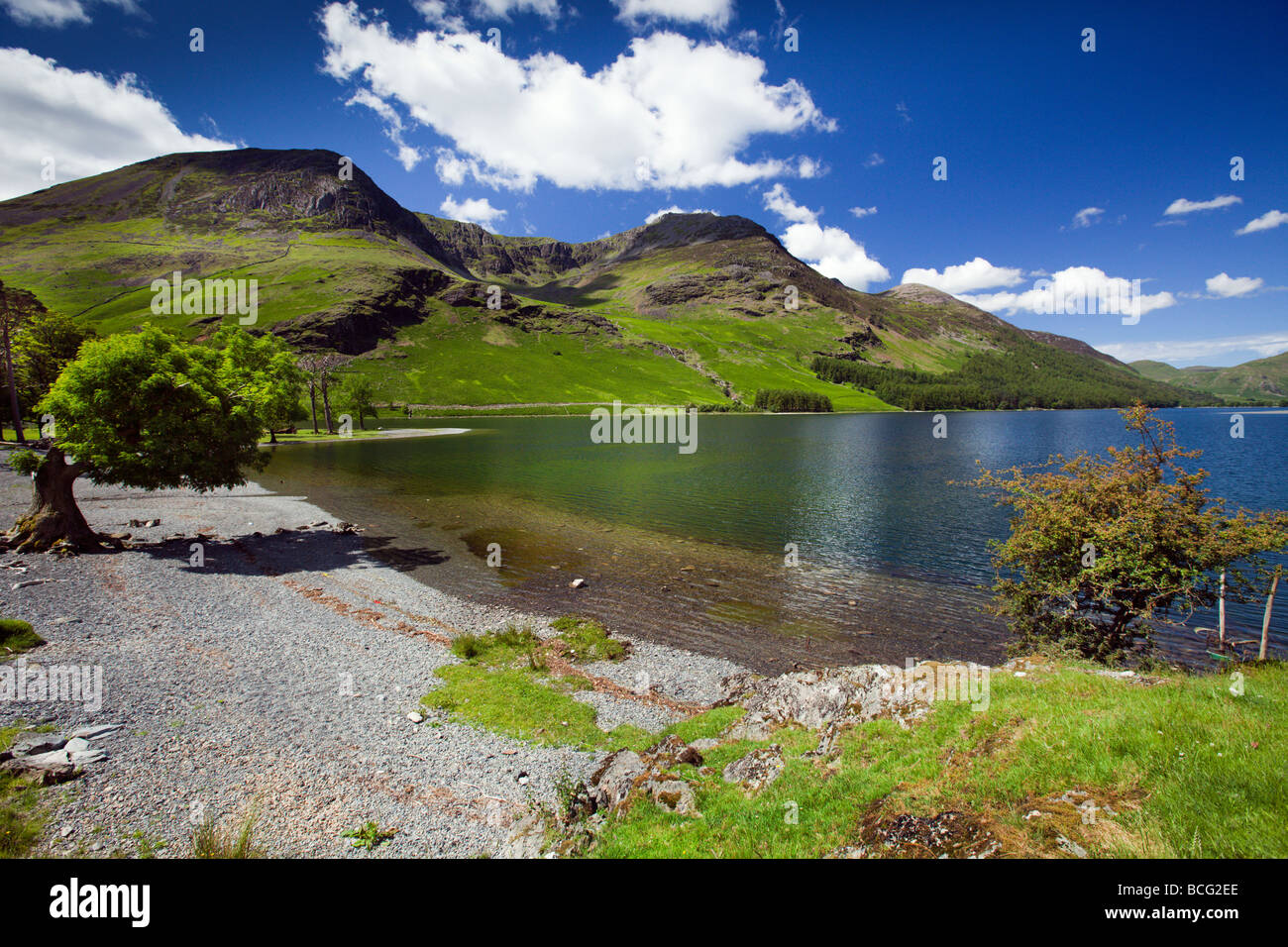Lake Buttermere Shoreline With 'High Stile' And 'Red Pike' Mountains ...