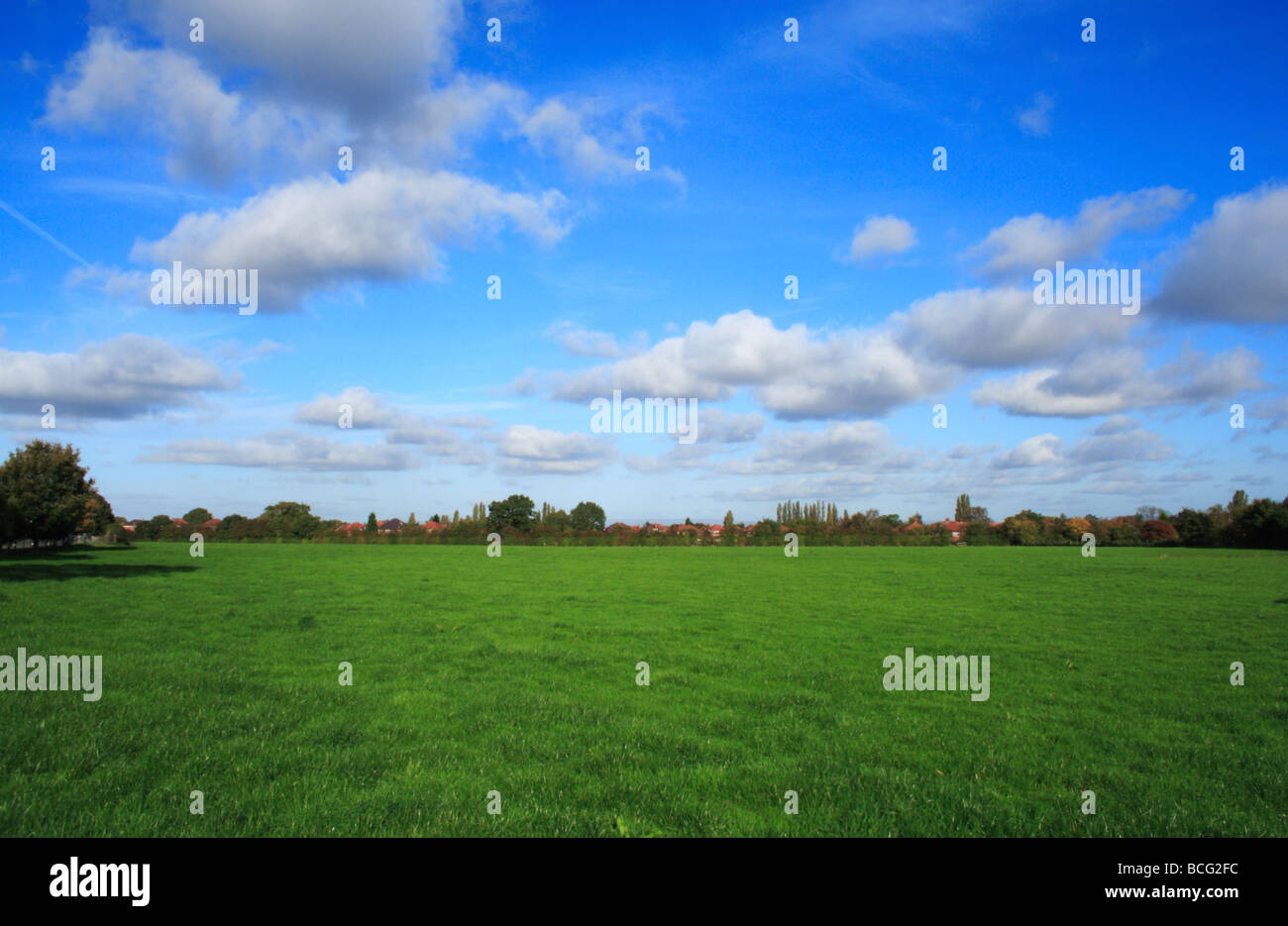 Open fields with a hedge treeline. Small houses in the background Stock ...