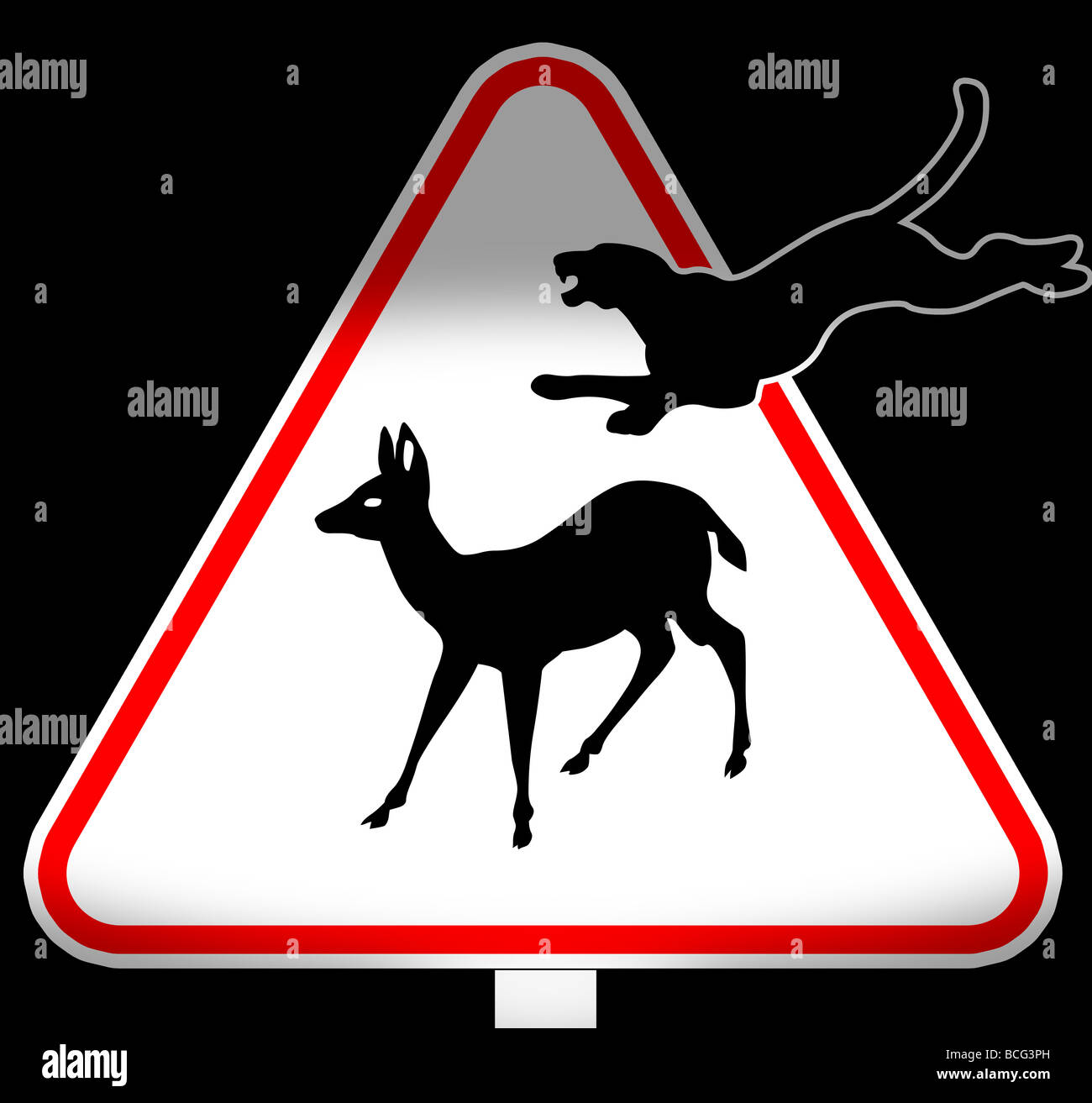 predator road sign in the night Stock Photo - Alamy