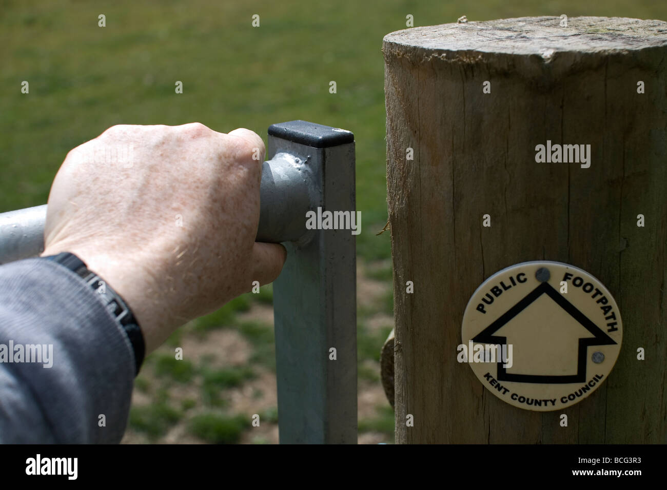 Closing a gate in a field Stock Photo - Alamy