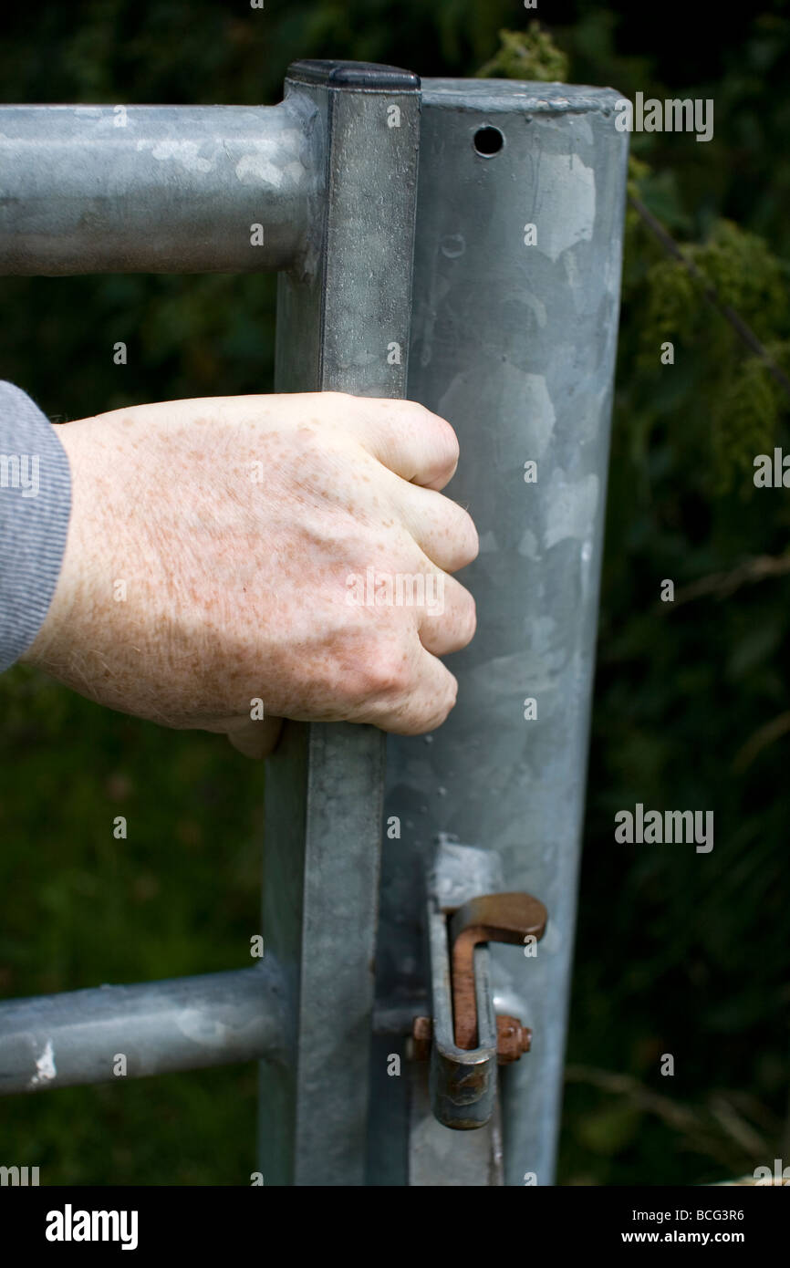 Closing a gate in a field Stock Photo - Alamy