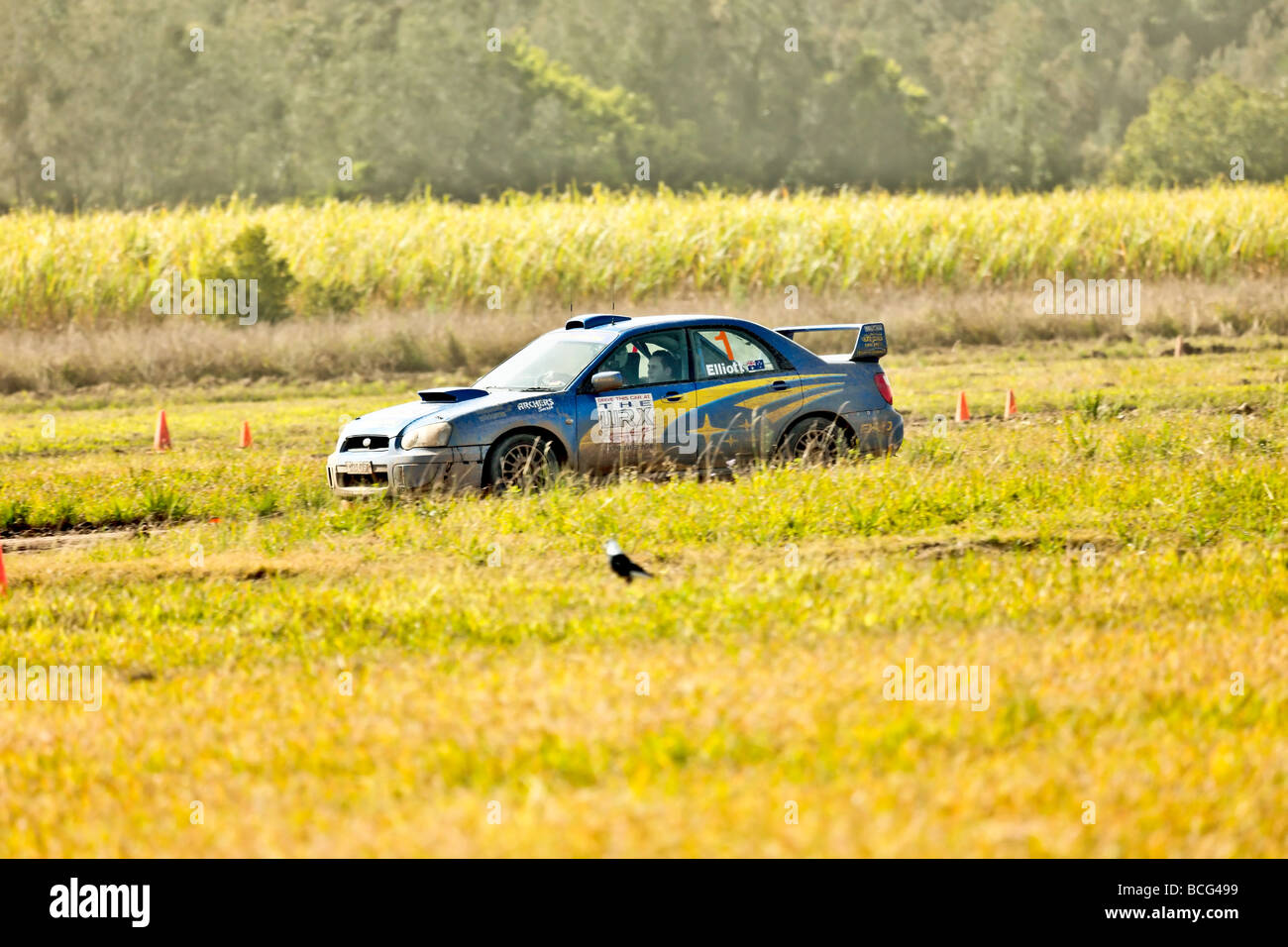 Subaru WRX rally car doing circuits on a dirt track Stock Photo - Alamy