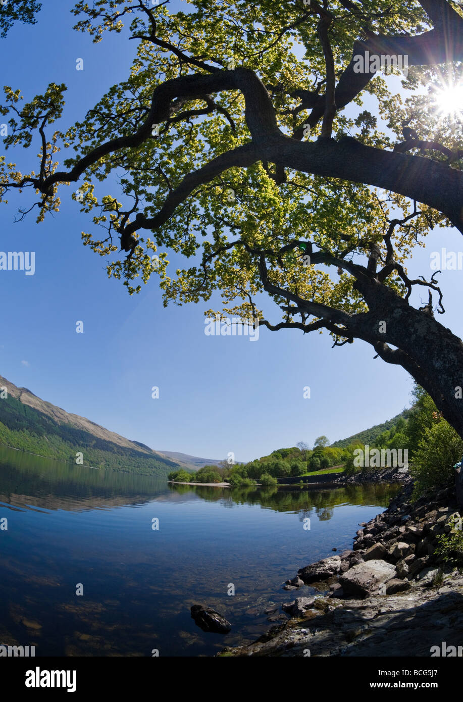 Lock Lomond, Scotland Stock Photo - Alamy