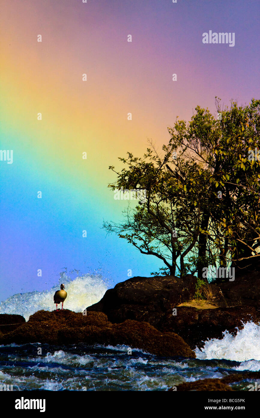 Rainbow over Victoria Falls, Zambia Stock Photo - Alamy