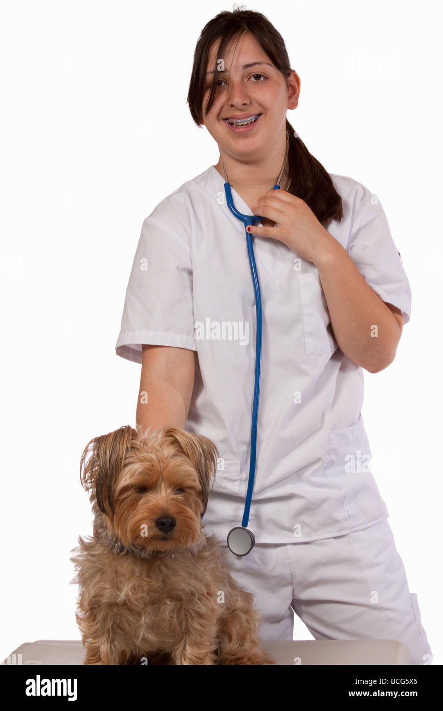 Veterinary student hi-res stock photography and images - Alamy