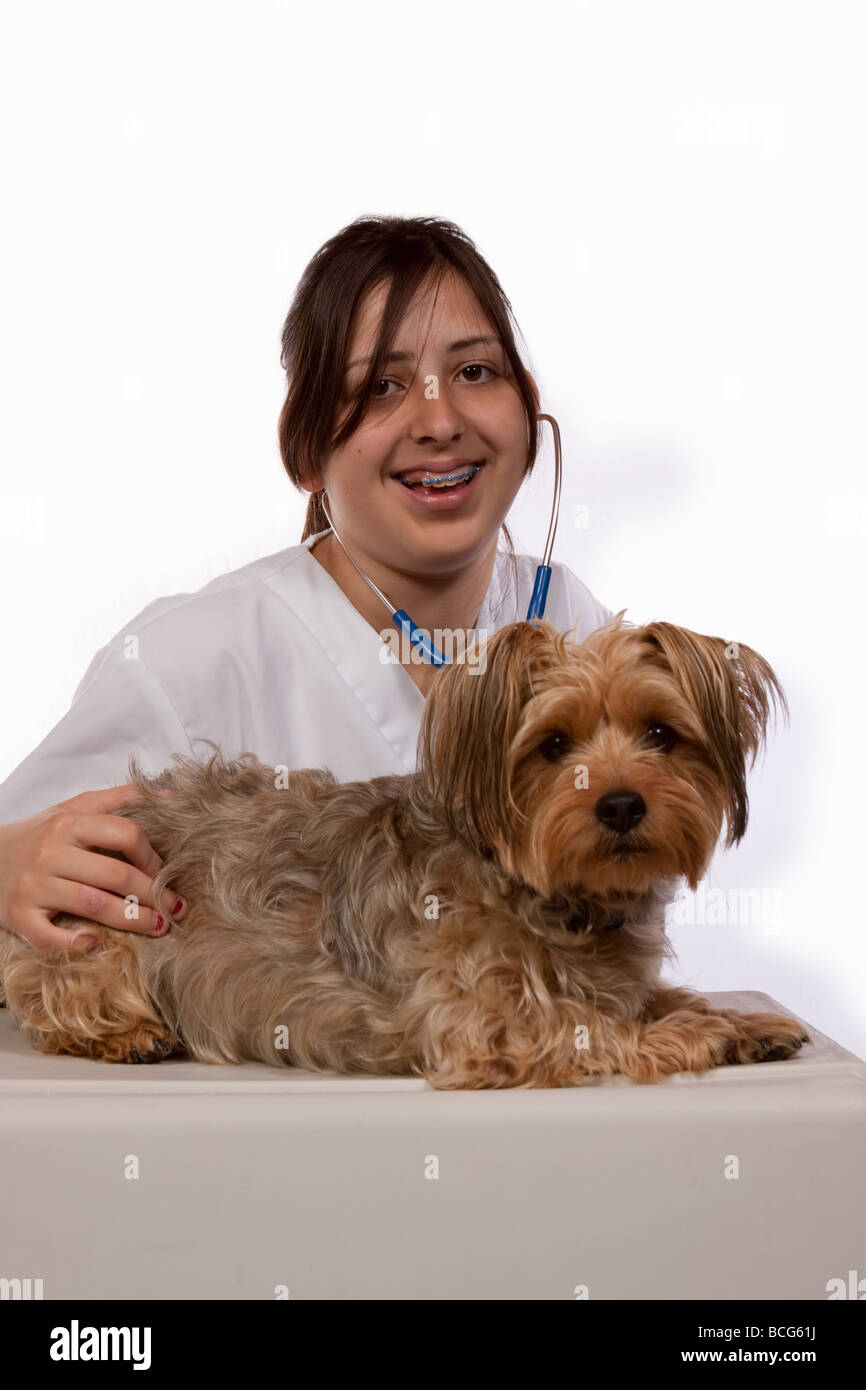 Veterinary student hi-res stock photography and images - Alamy