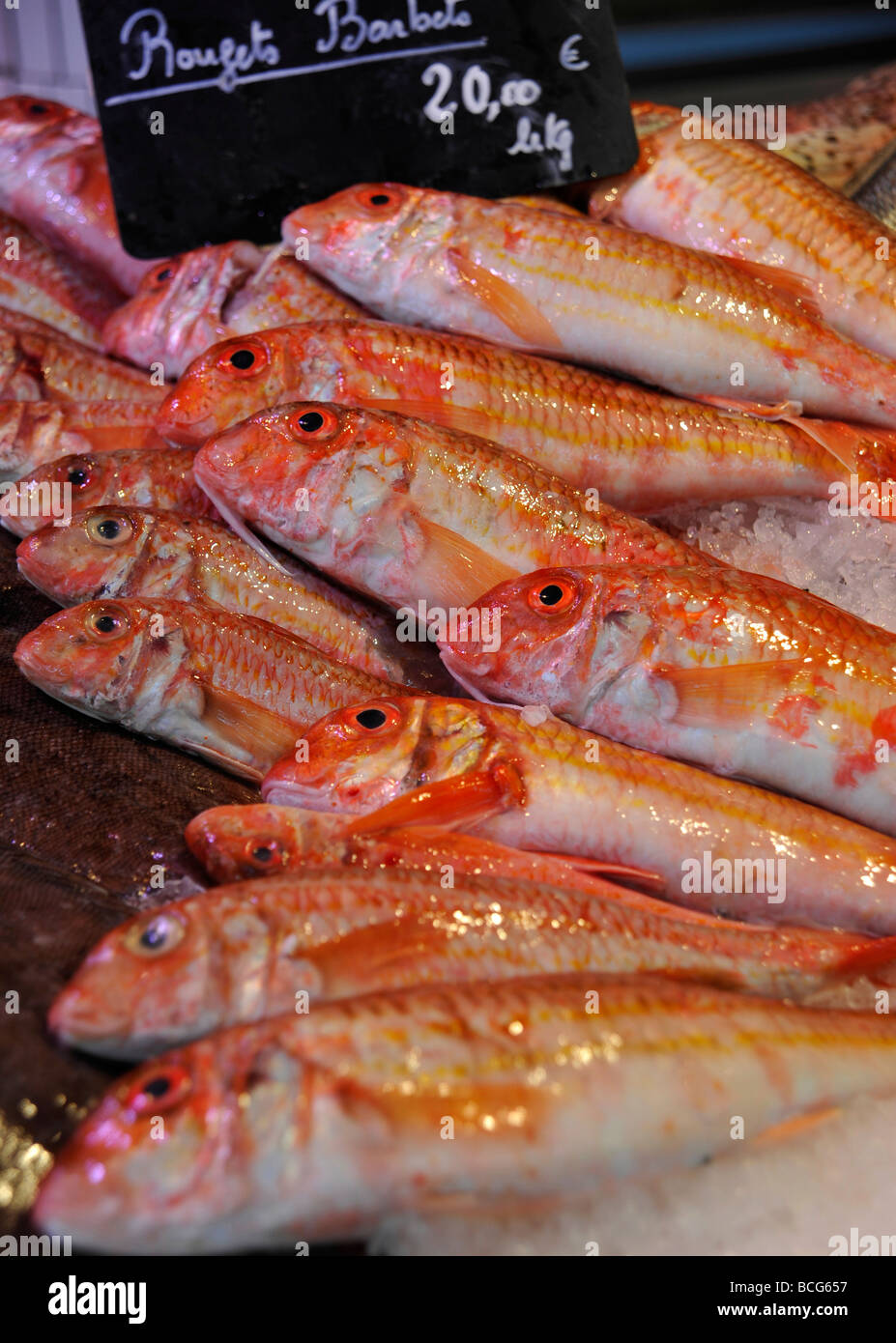 Fresh fish sea food deep hi-res stock photography and images - Alamy