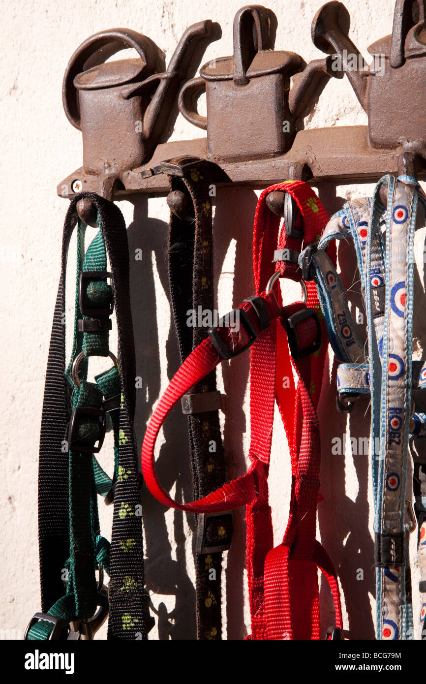 Dog leash hanging hi-res stock photography and images - Alamy