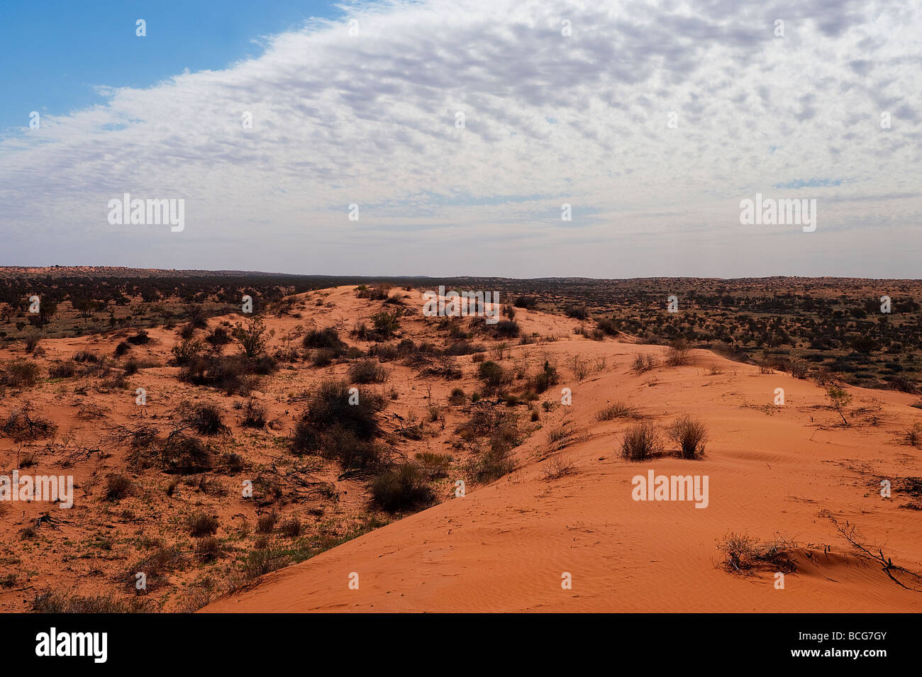 Looking along the top of a sand dune in the Simpson Desert Stock Photo ...