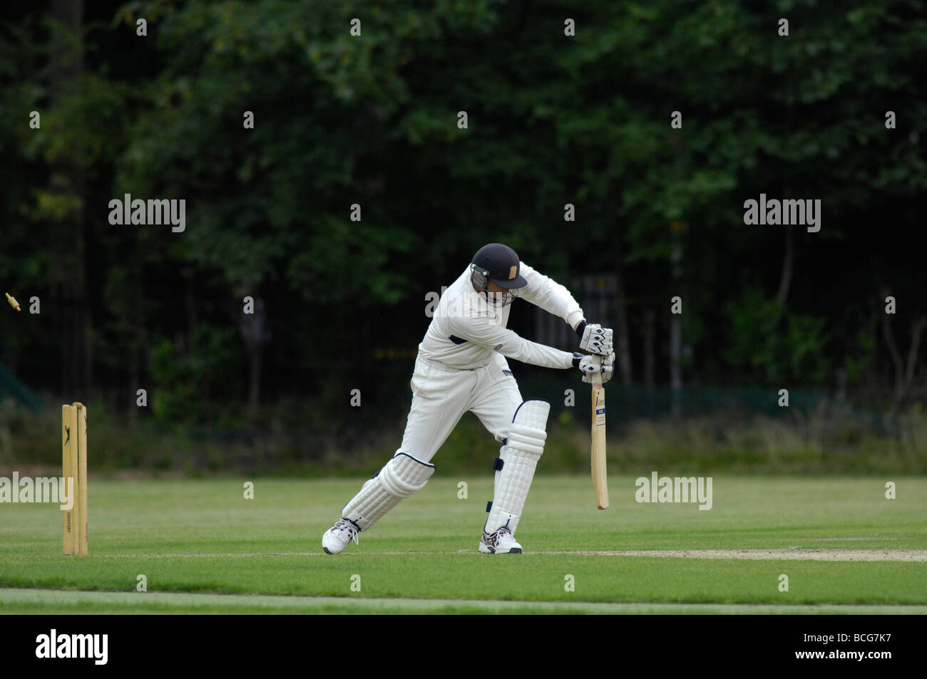 batsman is bowled out Stock Photo - Alamy