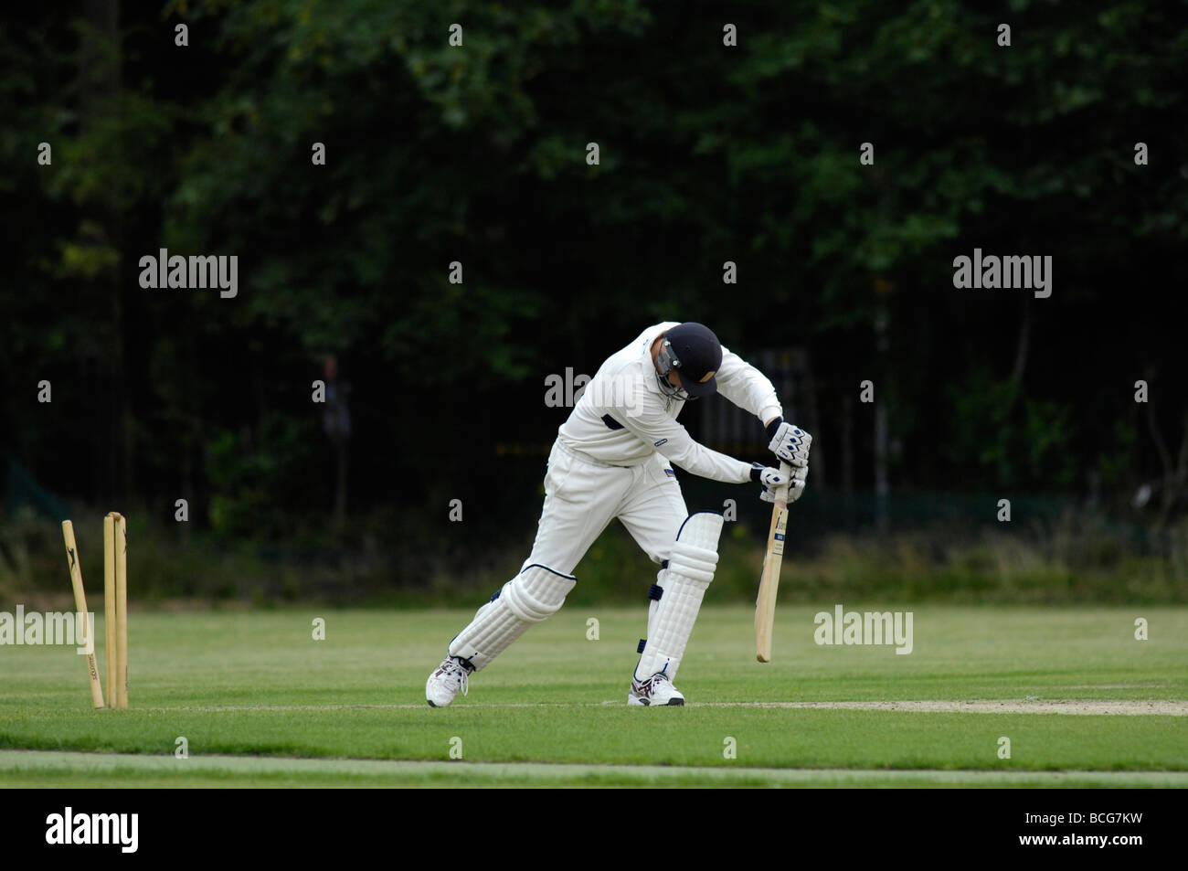 batsman is bowled out Stock Photo - Alamy