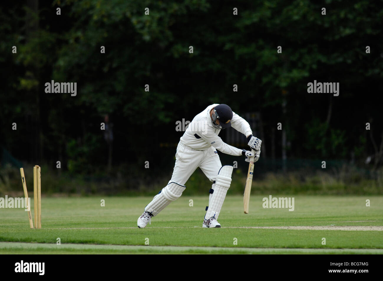 batsman is bowled out Stock Photo - Alamy