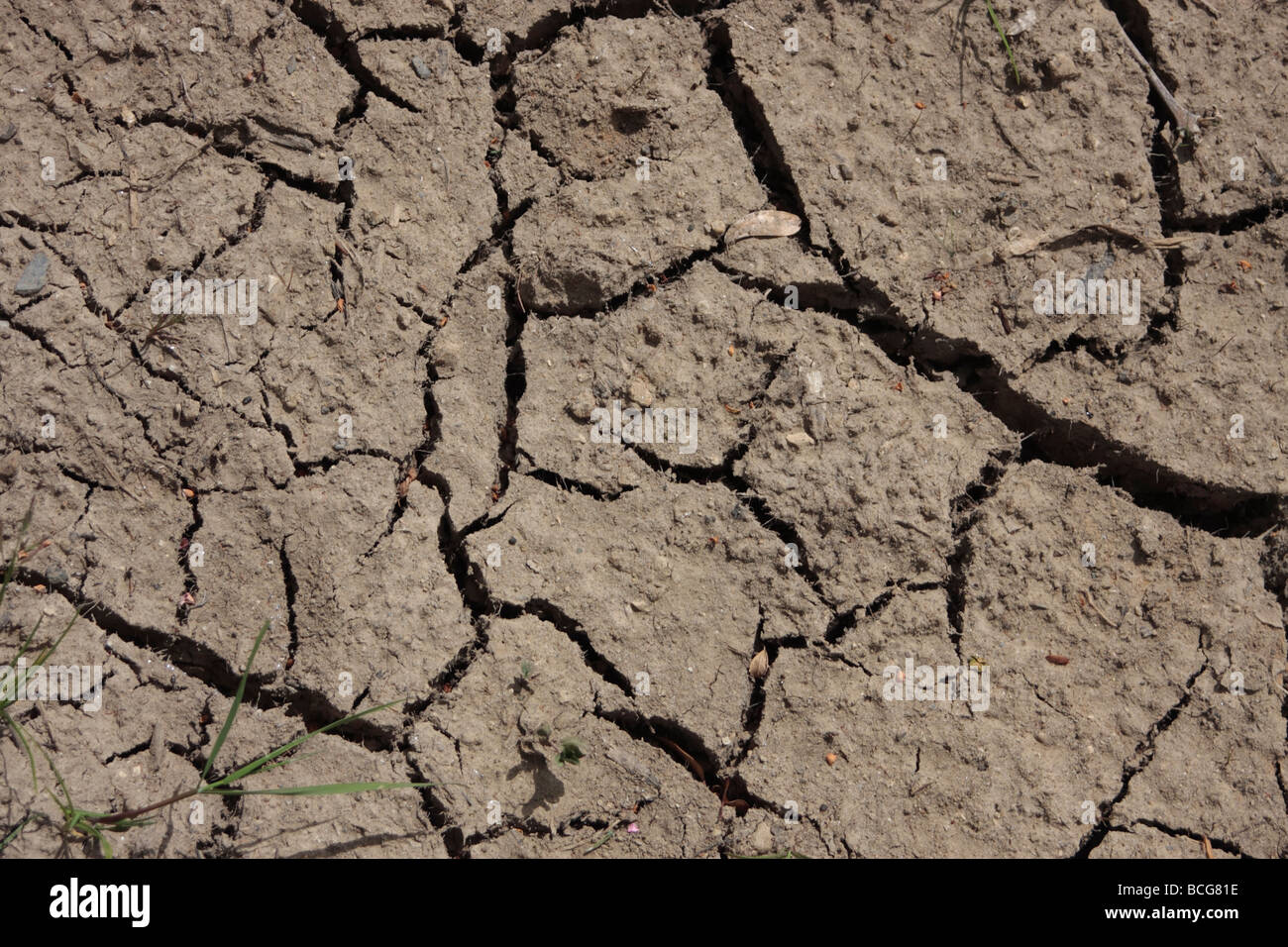 Parched land drought hi-res stock photography and images - Alamy