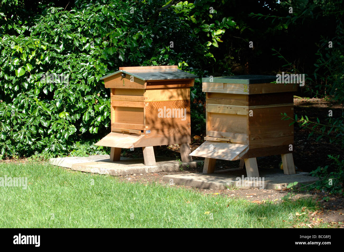English garden scene with bee hives Stock Photo - Alamy