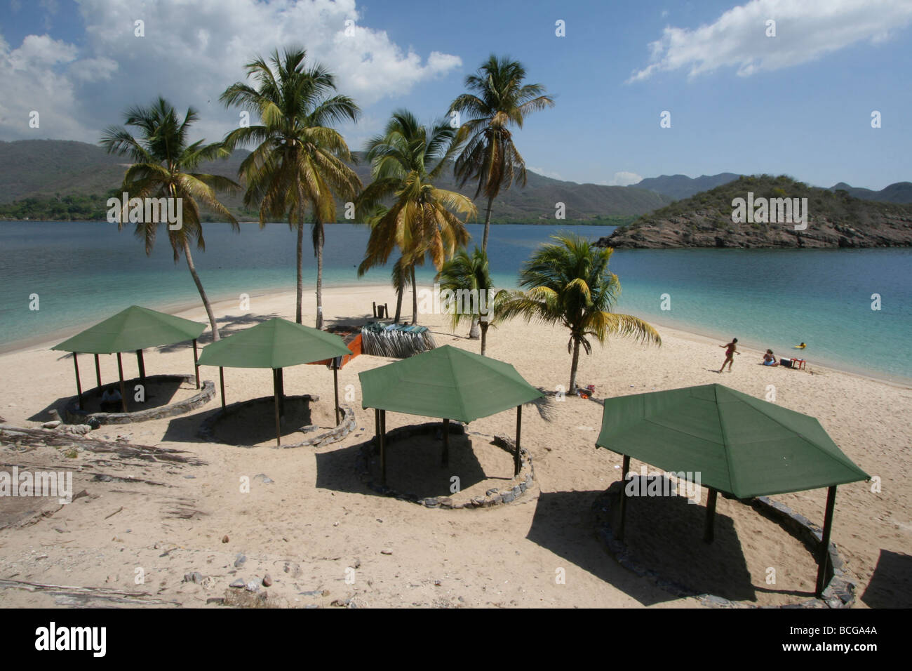 Exploded view tree hi-res stock photography and images - Alamy