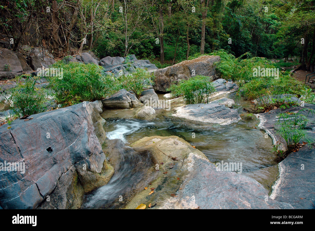 Natural water path Stock Photo - Alamy
