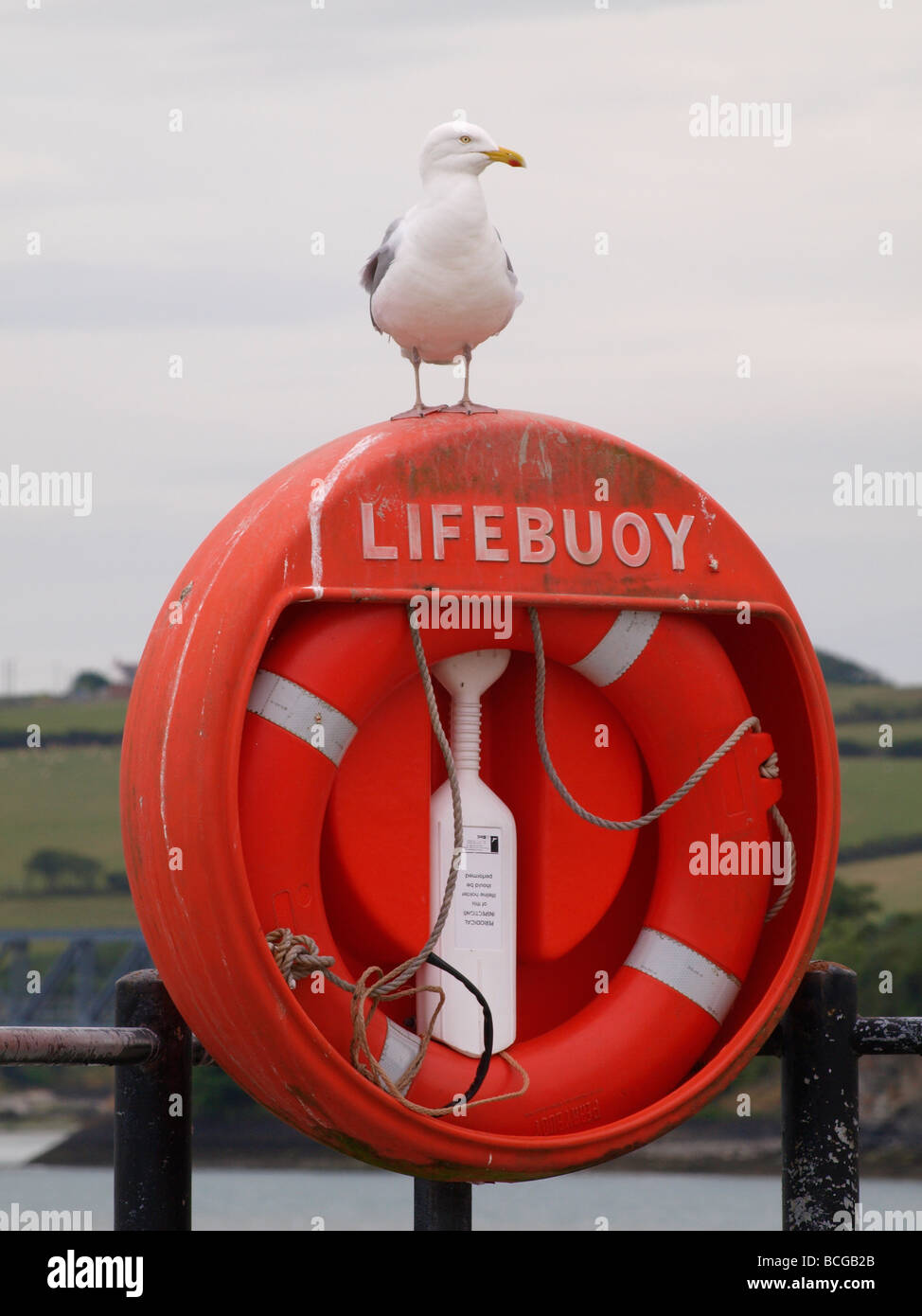Lifebuoy stand hi-res stock photography and images - Alamy