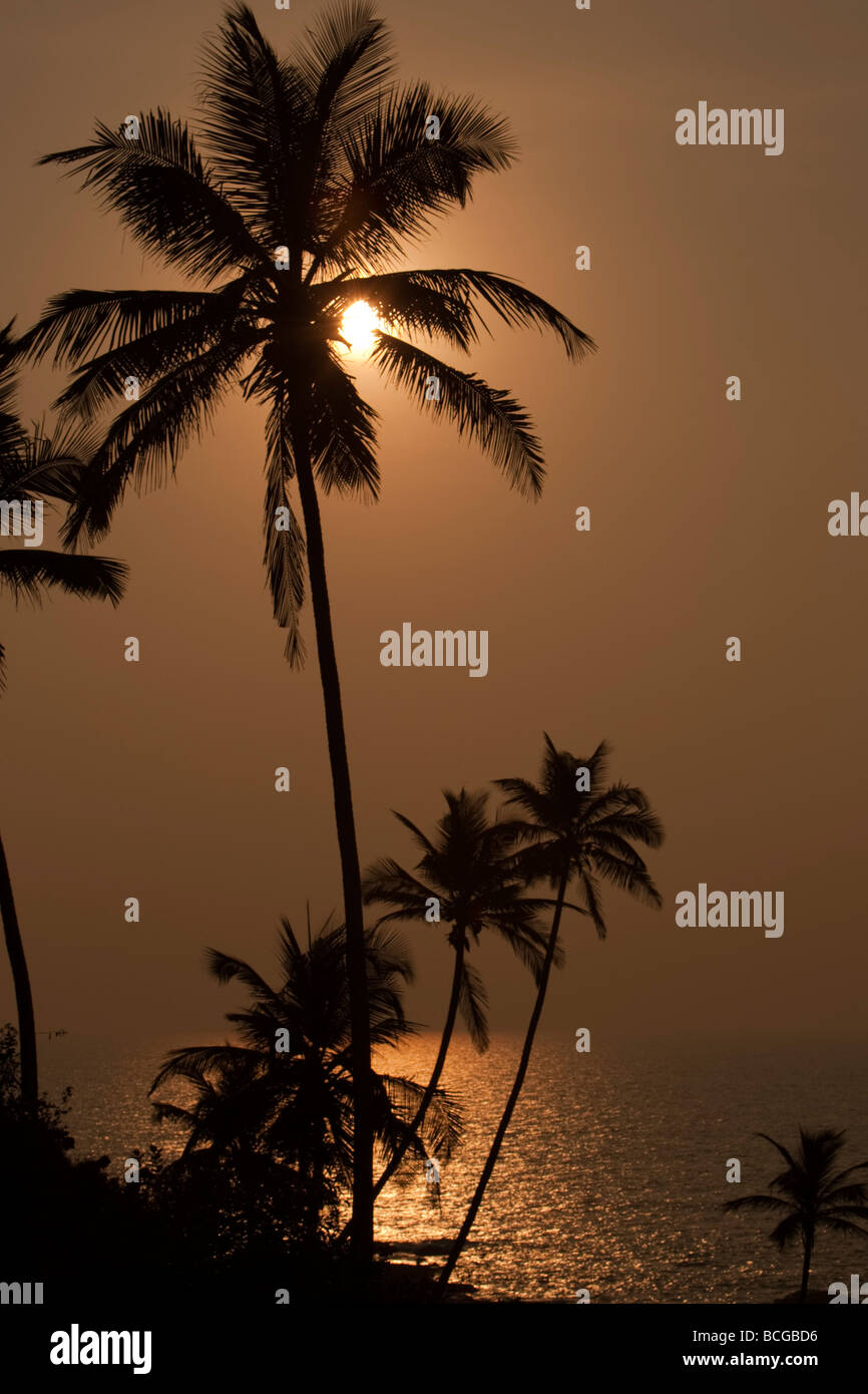 Indian tree silhouette hi-res stock photography and images - Alamy