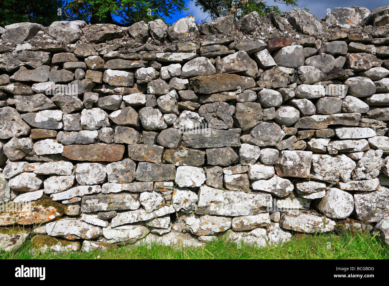 Limestone Wall