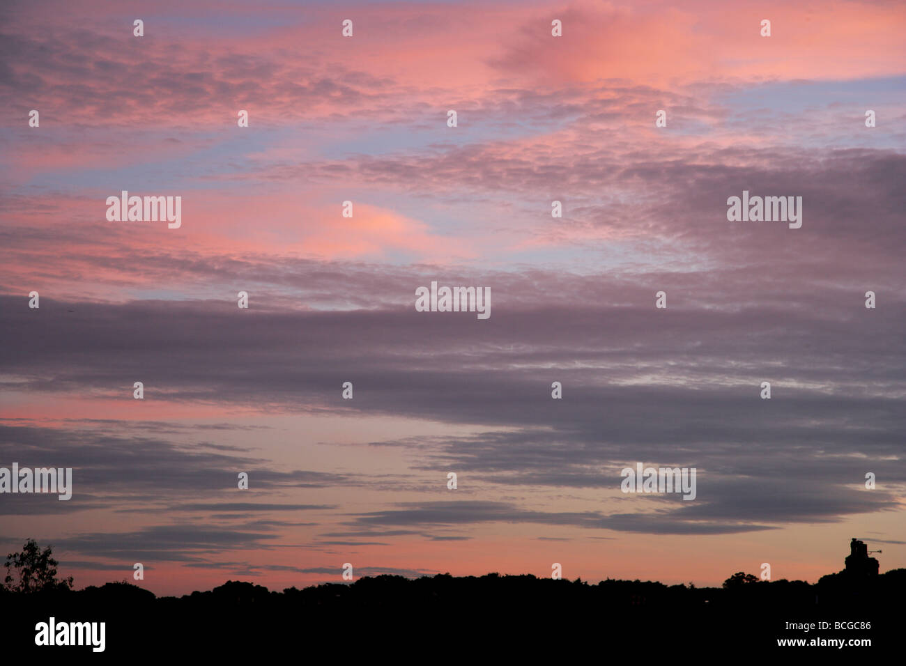 Colourful sunset cirrus clouds in pink and grey Stock Photo - Alamy