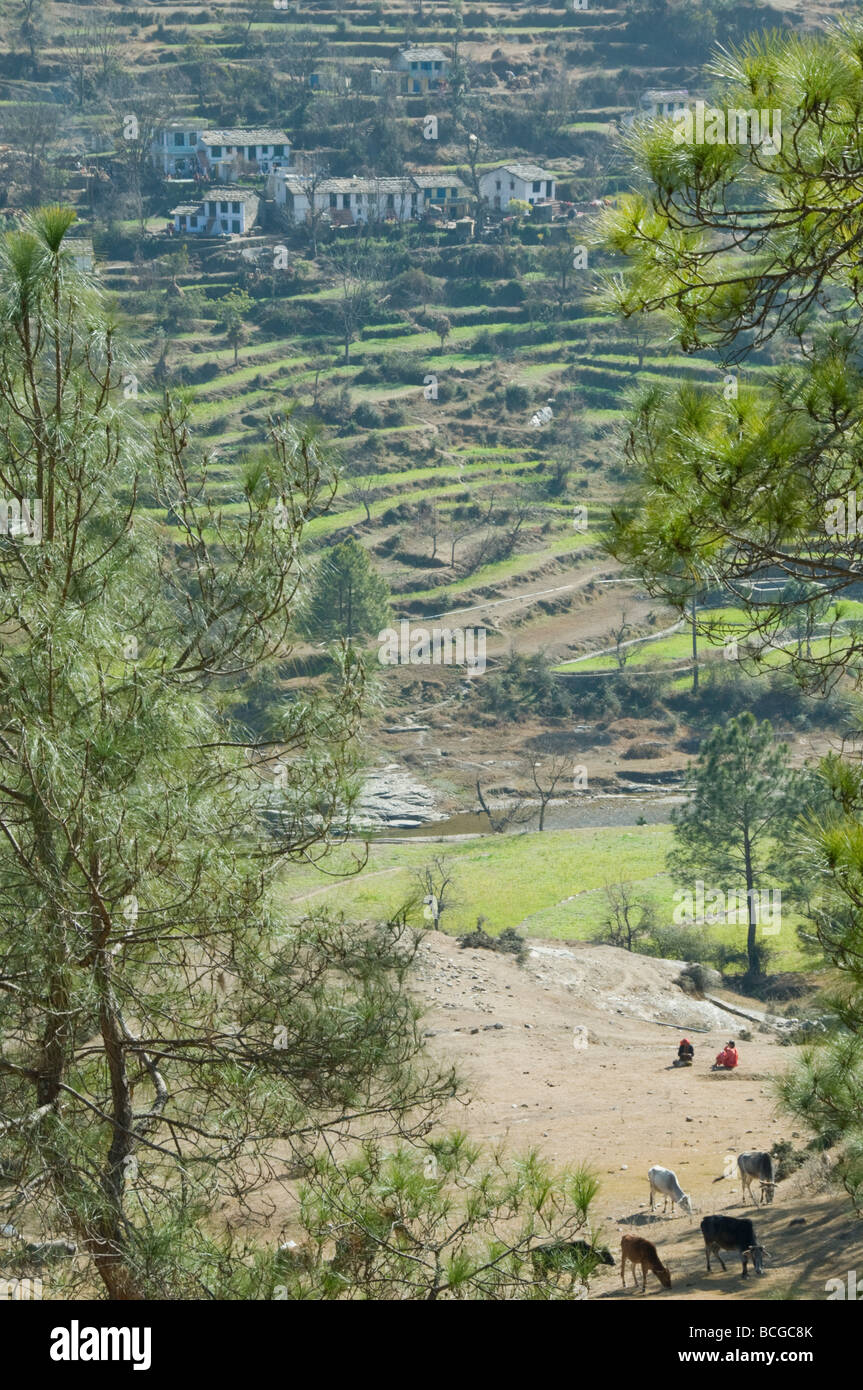 Villagers,Kumaon Villages,Lower Himalayas,Terraces,Countryside ...