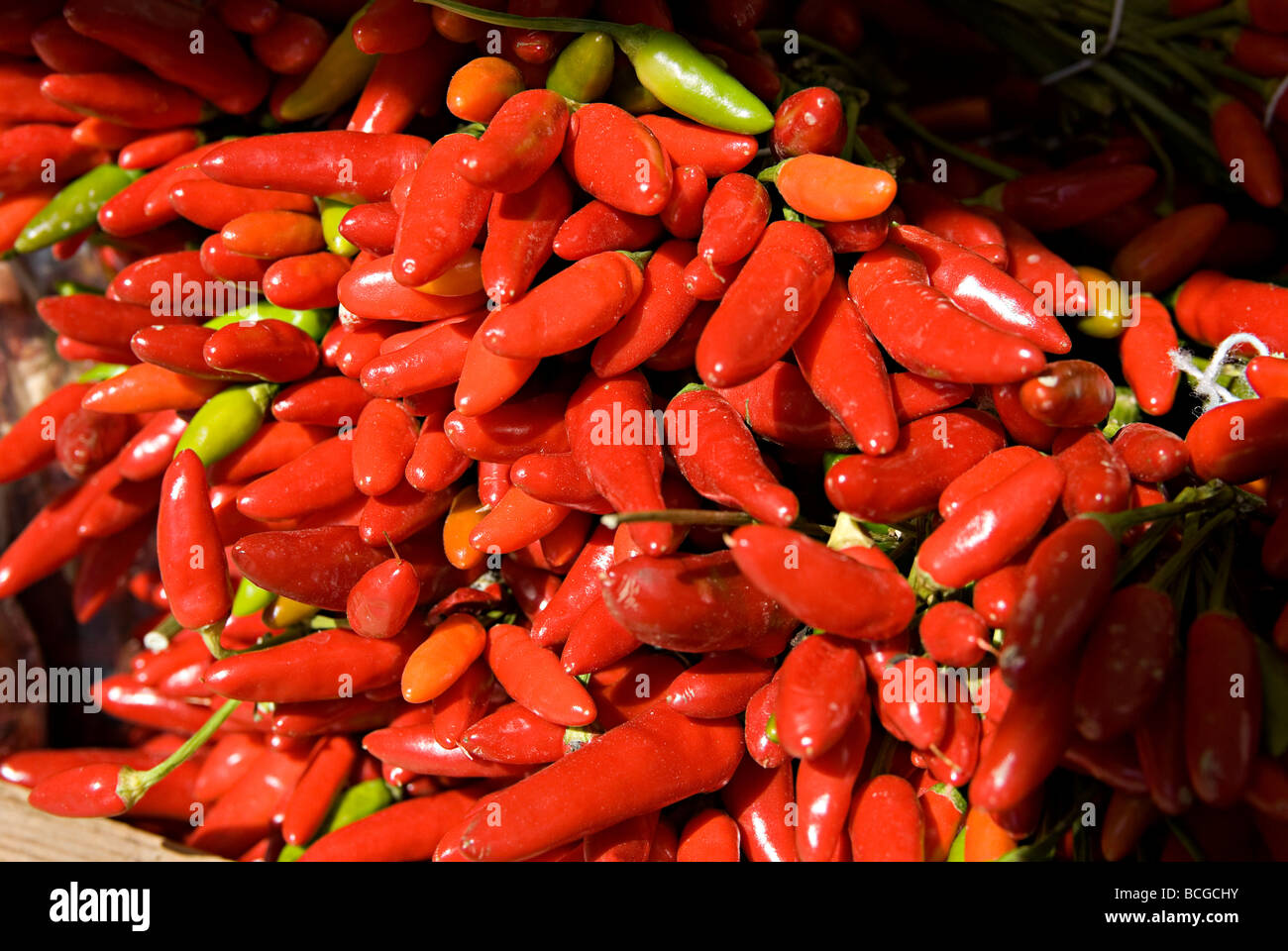 red chilli on sale at an outdoor market in italy Stock Photo - Alamy