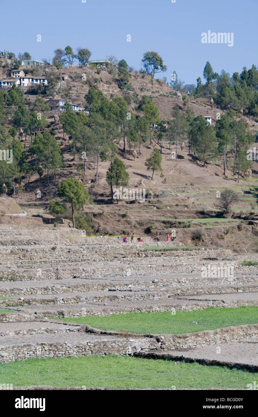 Hiking through indian villages hi-res stock photography and images - Alamy