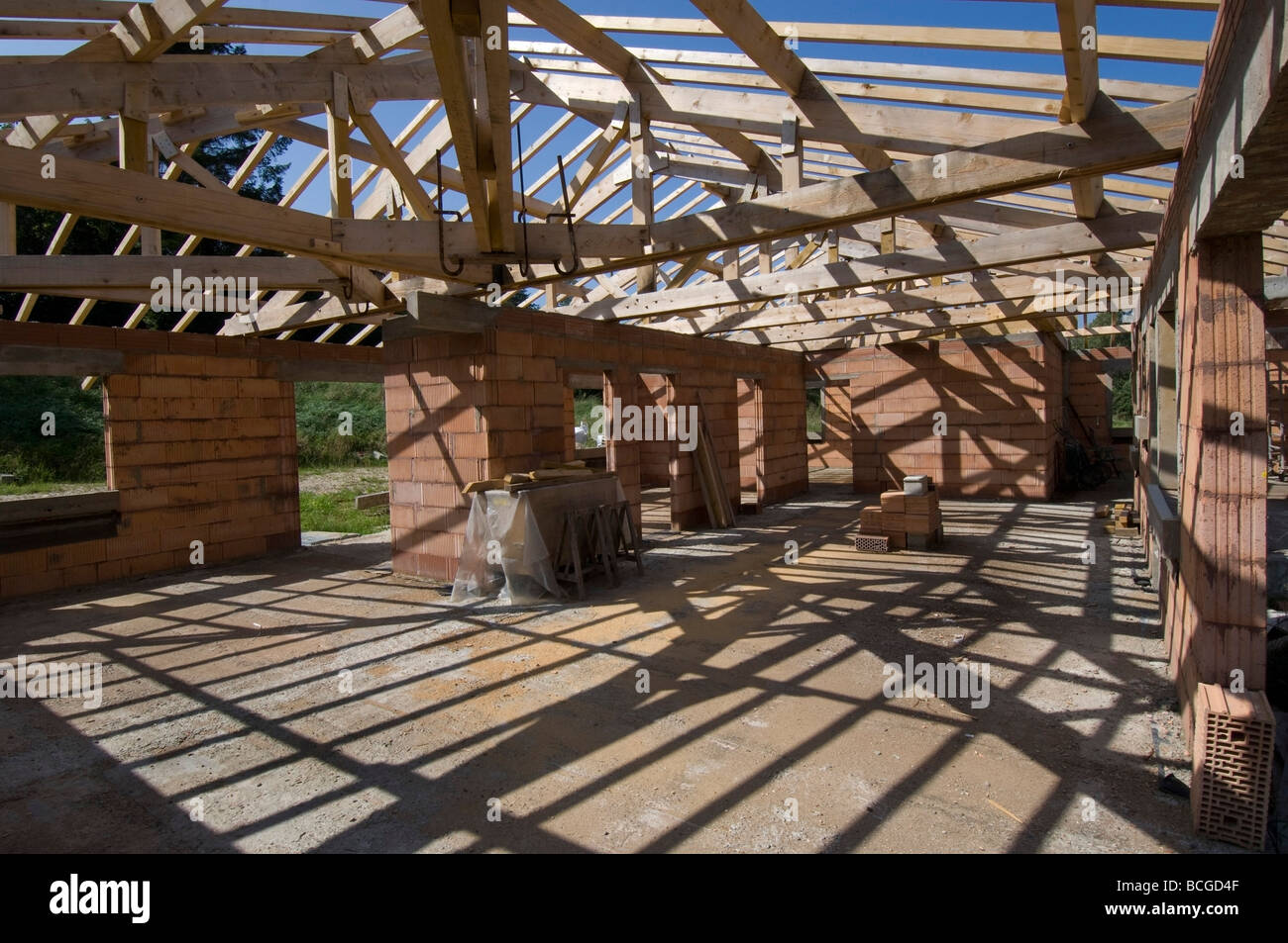 When The Shadows Beam