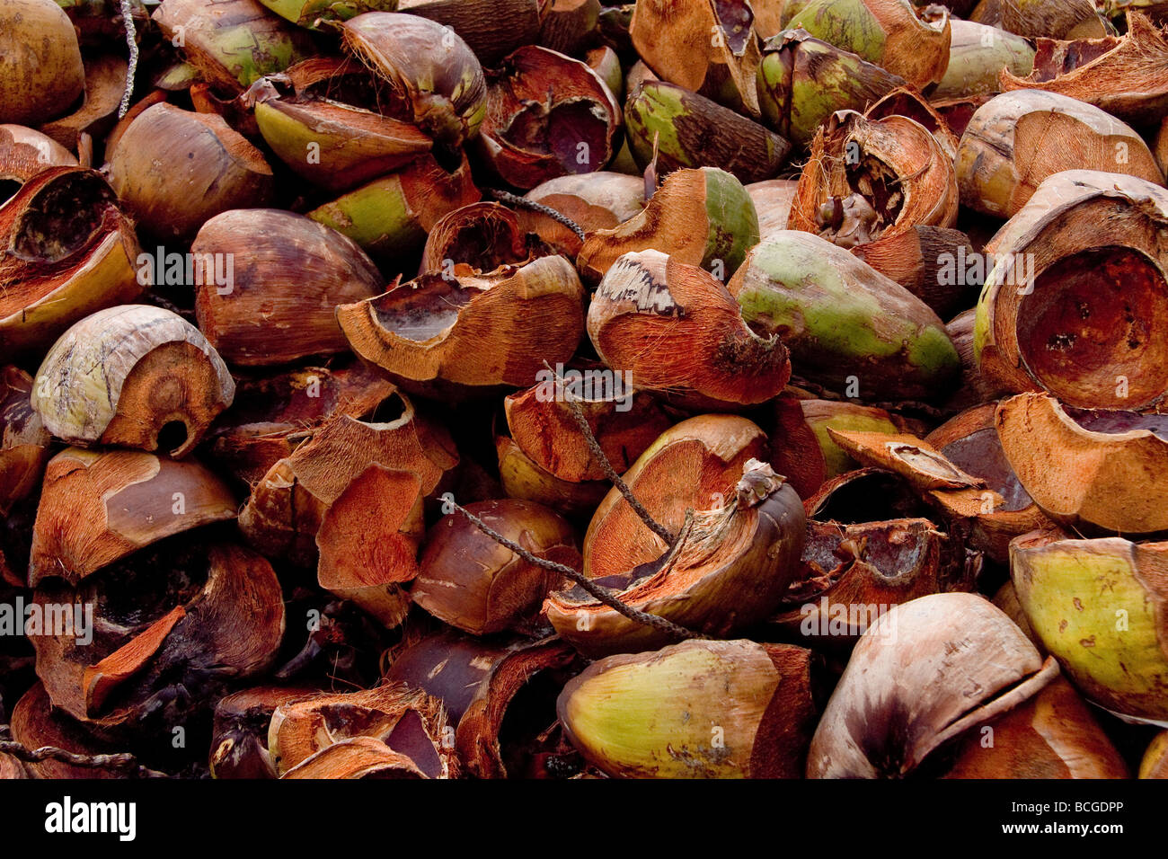 Discarded coconuts shells hi-res stock photography and images - Alamy