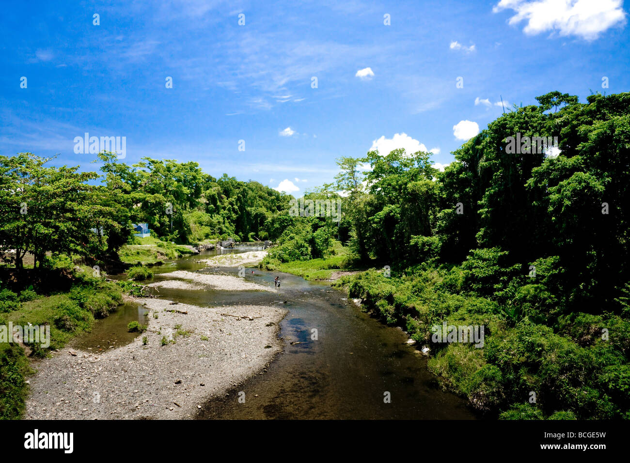 View of a stream with banks of trees on both sides and a man pushing ...