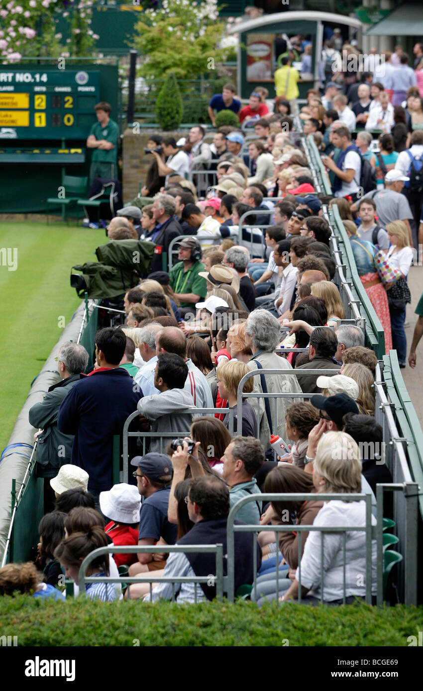 Wimbledon Tennis Spectators High Resolution Stock Photography and ...