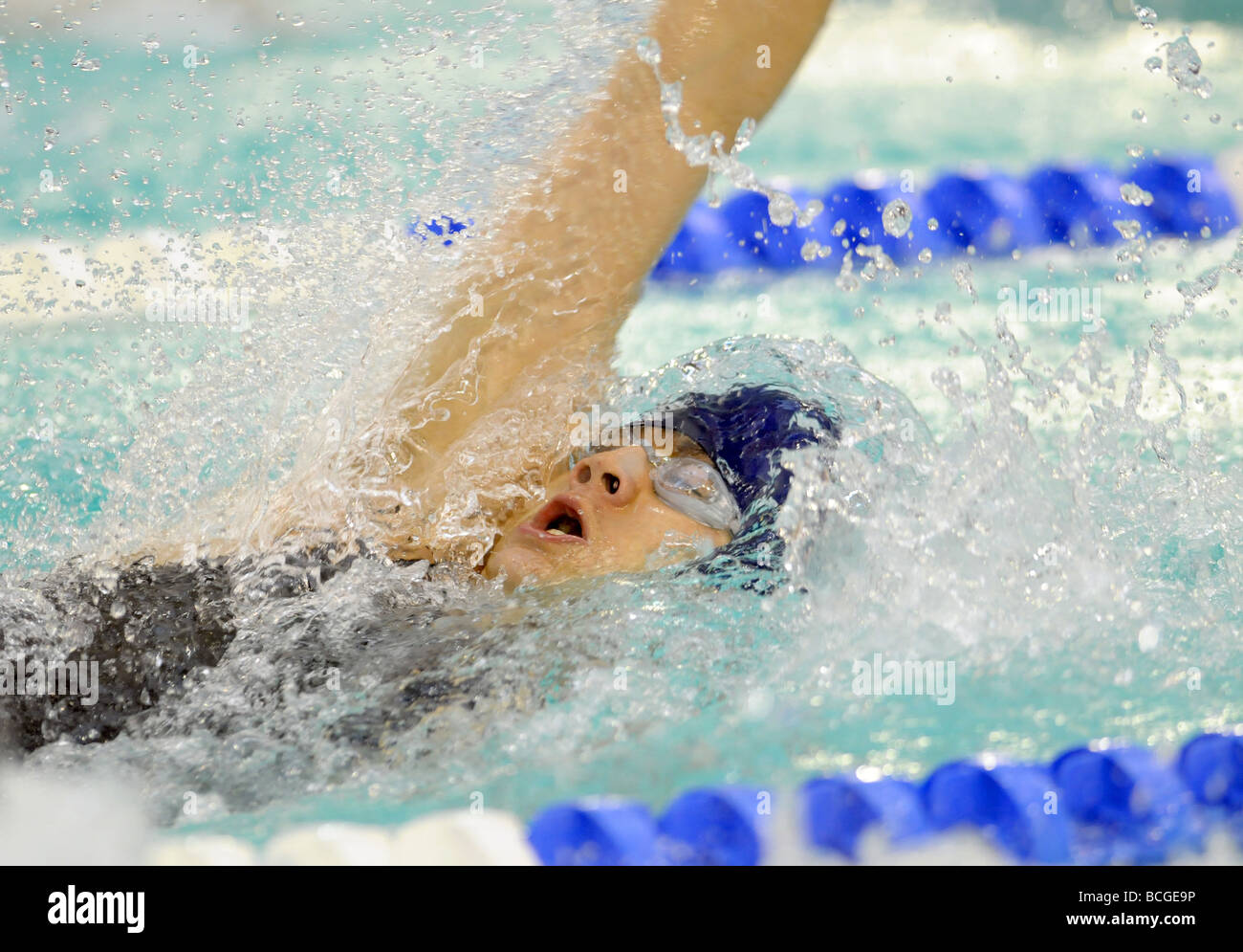 Swimmers in competition Stock Photo - Alamy