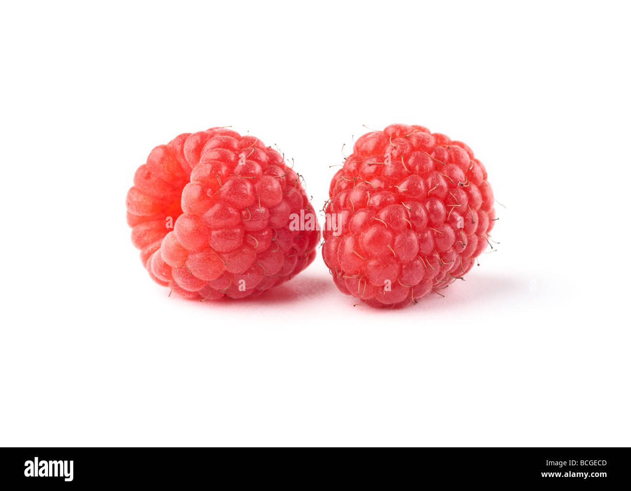 Two raspberries isolated on white background Stock Photo - Alamy