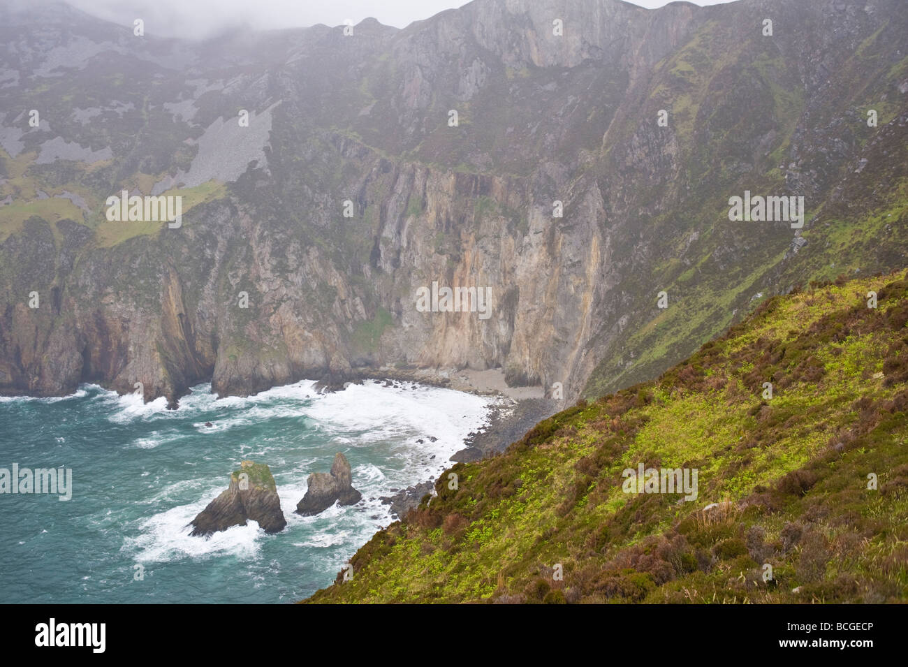 Bunglass hi-res stock photography and images - Alamy