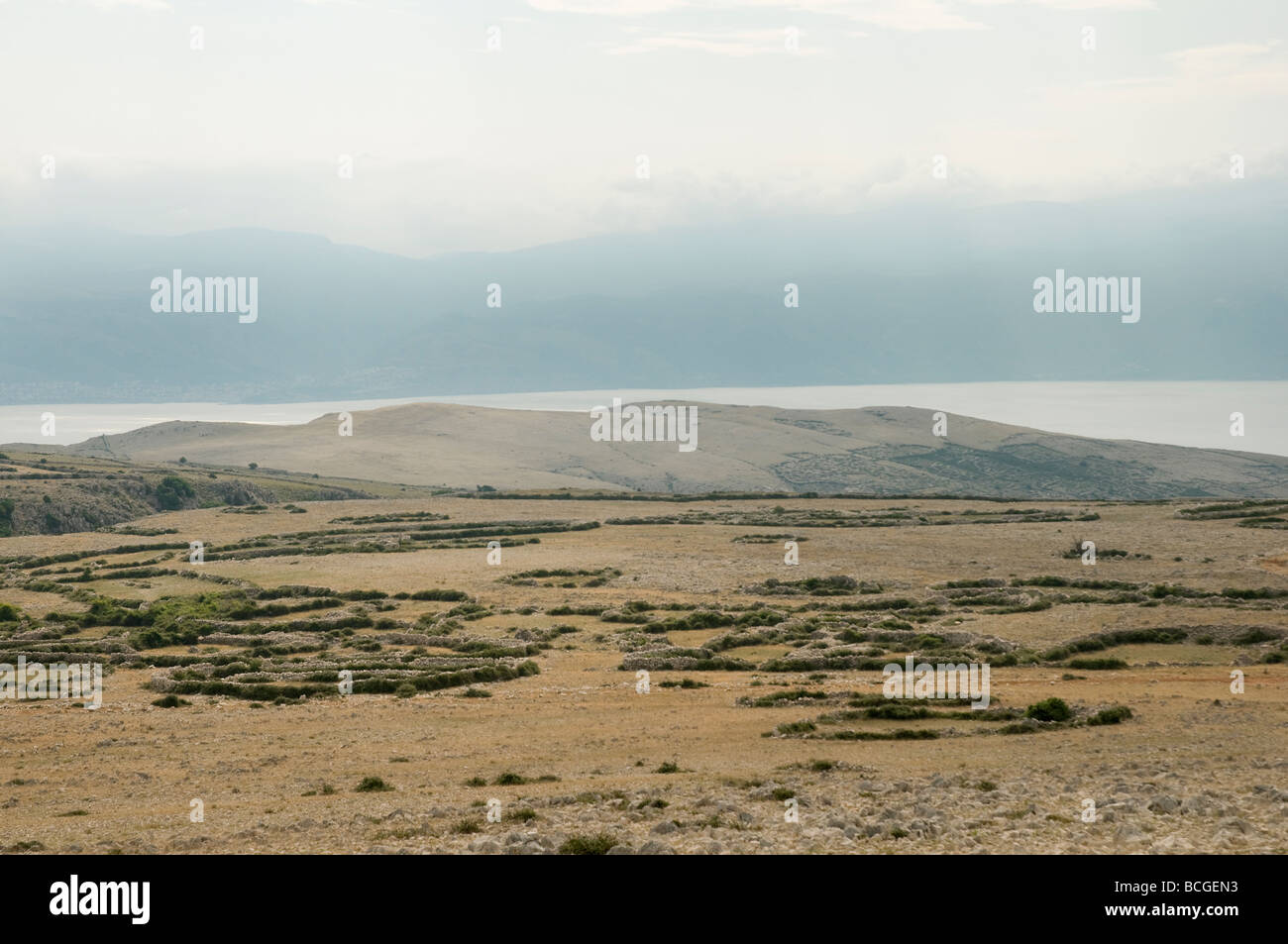 The plateau in the Krk Island, Croatia Stock Photo - Alamy