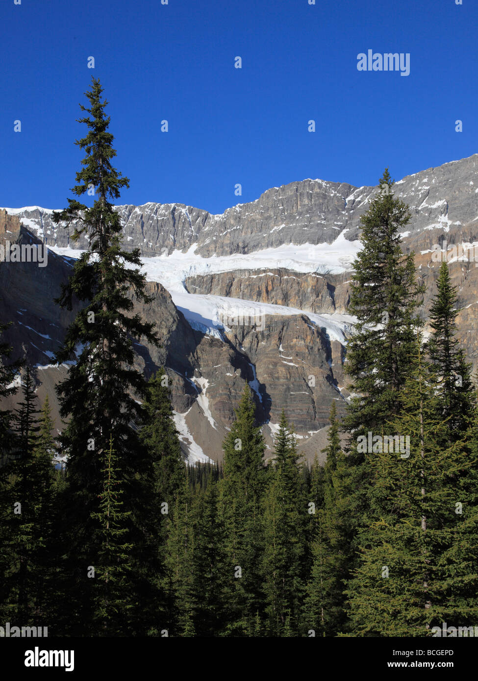 Canada Alberta Banff National Park Crowfoot Glacier Rocky Mountains ...