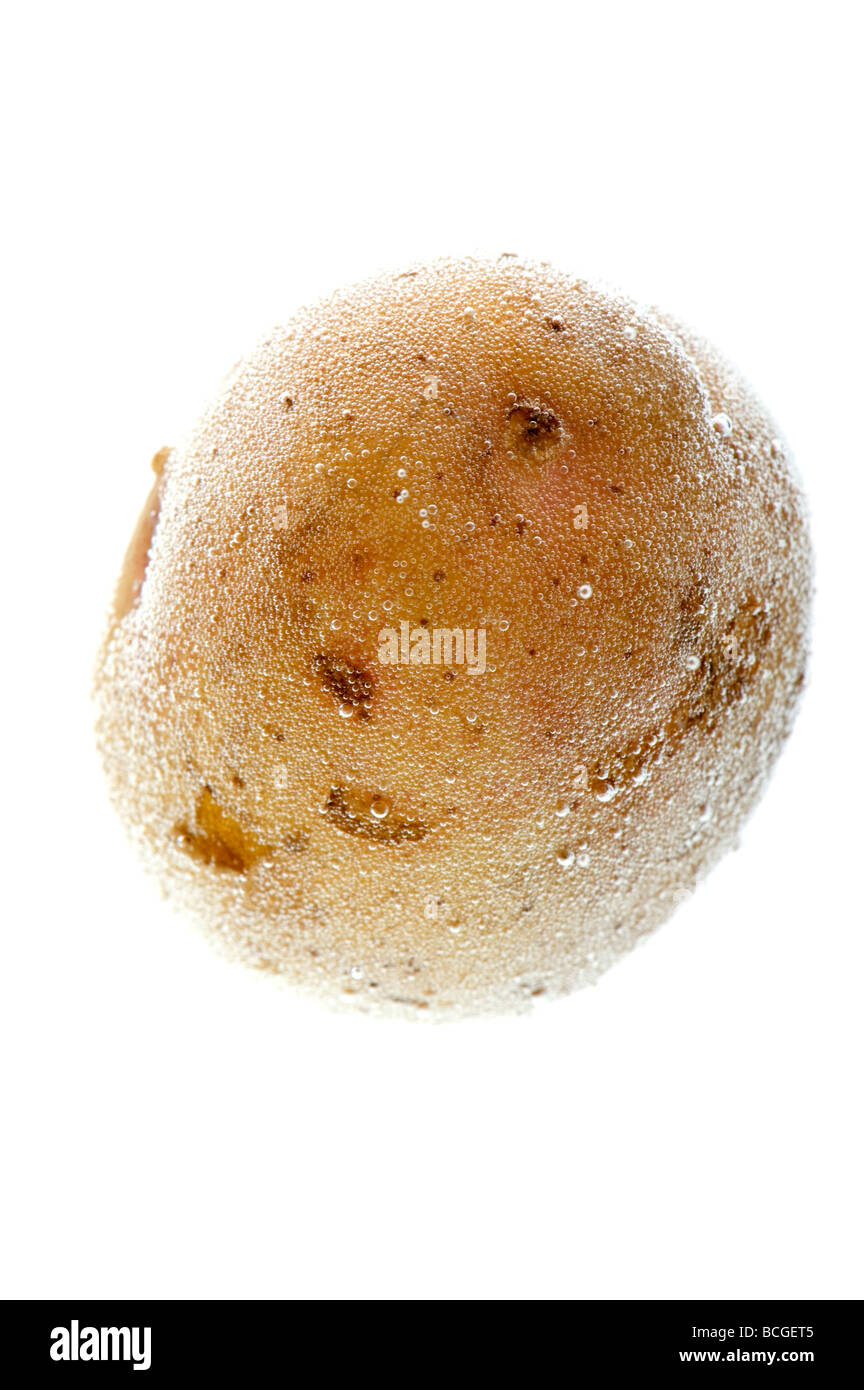 object on white food Potatoes in water Stock Photo - Alamy
